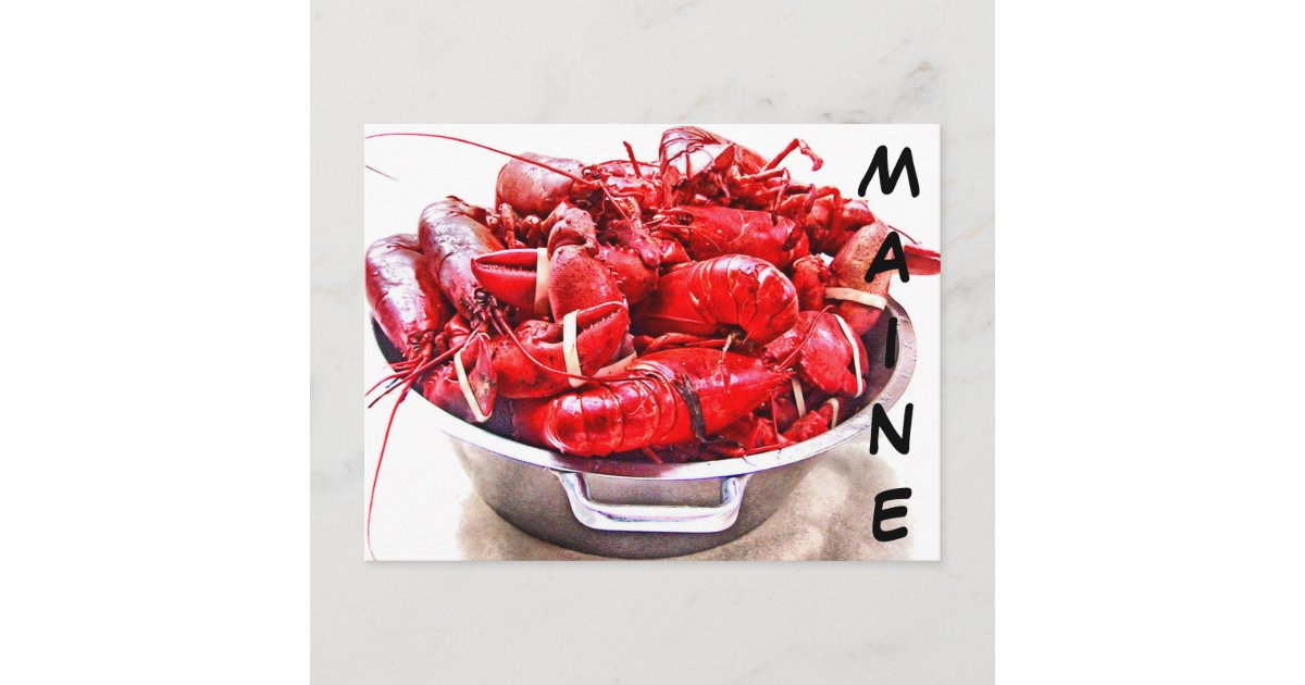 Maine Lobster Postcard | Zazzle
