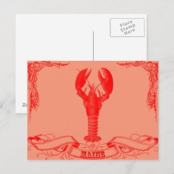 maine lobster postcard | Zazzle