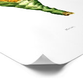 Maize Poster | Zazzle