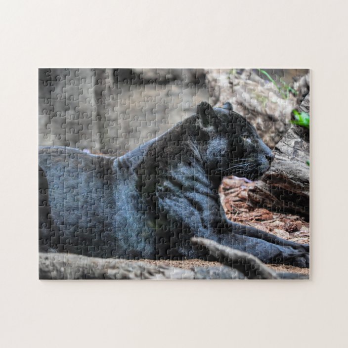 Majestic Black Panther Jigsaw Puzzle | Zazzle.com