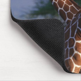 Majestic Giraffes Mouse Pad | Zazzle