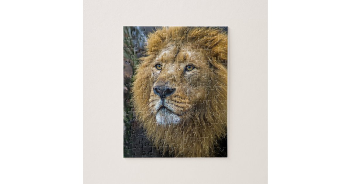 Majestic lion jigsaw puzzle | Zazzle