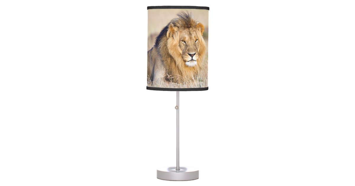 Majestic lion table lamp | Zazzle