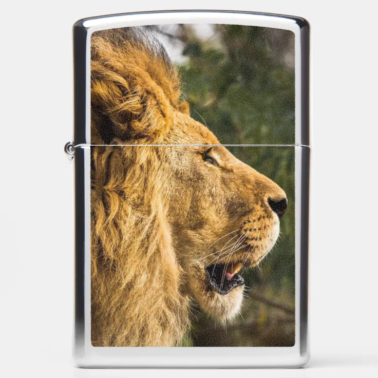 Majestic Lion Zippo Lion Zippo Lighter | Zazzle
