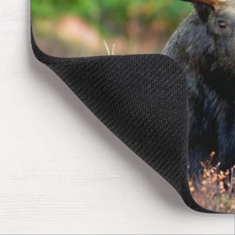 Majestic Moose Meadow Mouse Pad | Zazzle