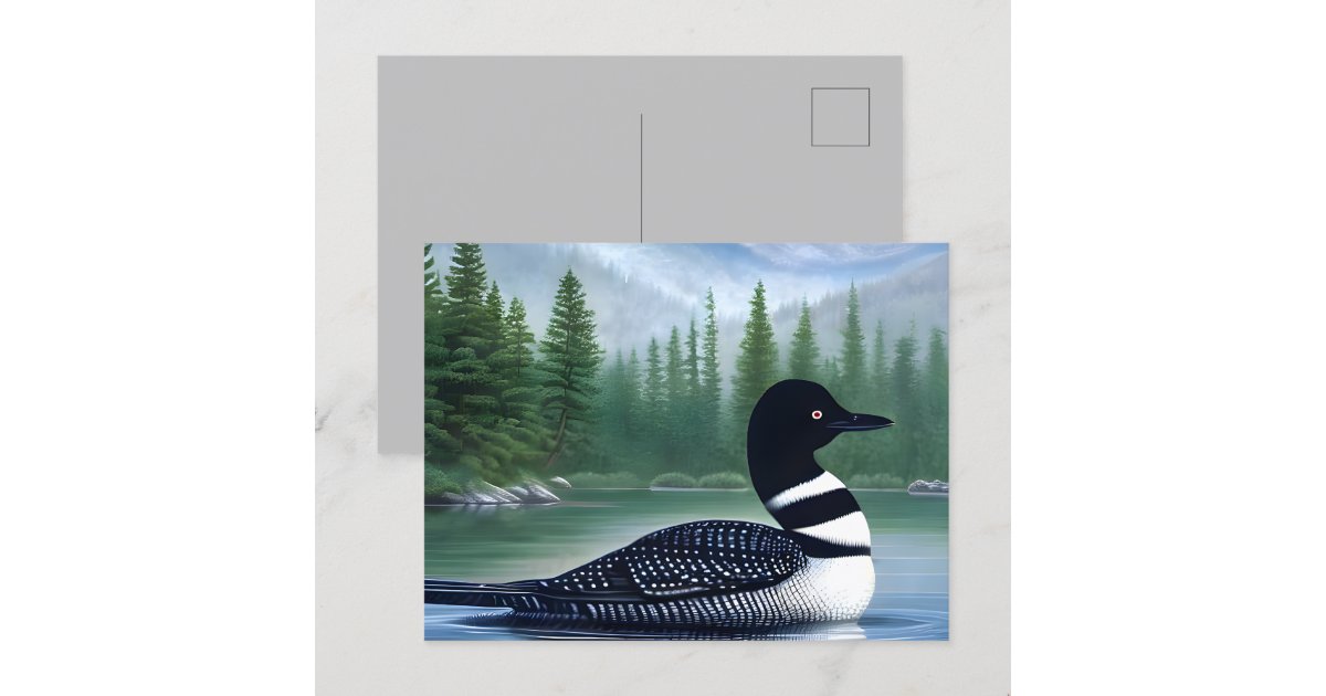 Majestic Northern Wilderness Loon Postcard | Zazzle