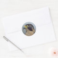 Majestic Peregrine falcon Classic Round Sticker | Zazzle