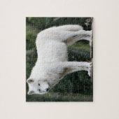 Majestic White Wolf Jigsaw Puzzle | Zazzle