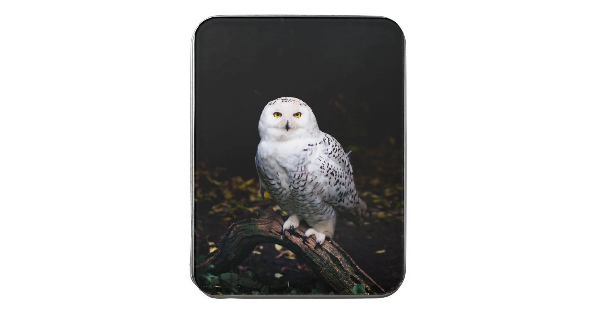 Majestic winter snowy owl jigsaw puzzle | Zazzle