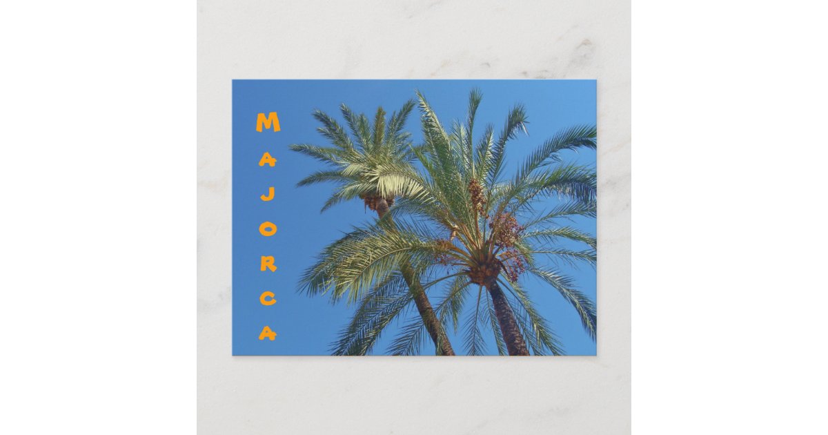Majorca Palms - Postcard | Zazzle