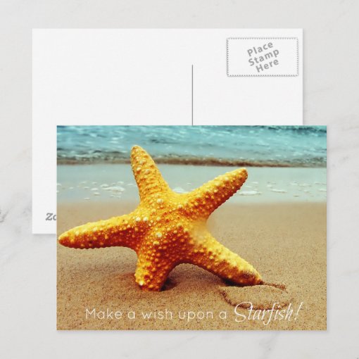 Make a Wish Post Card | Zazzle