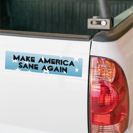 Make America Sane Again Bumper Sticker | Zazzle