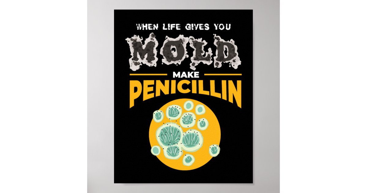 Make Penicillin Microbiology Chemistry Poster | Zazzle