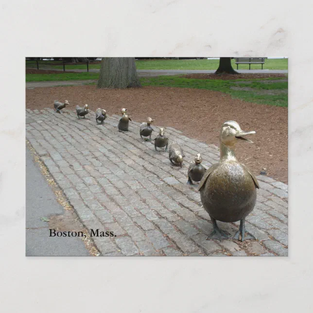 Make Way for Ducklings! Postcard | Zazzle