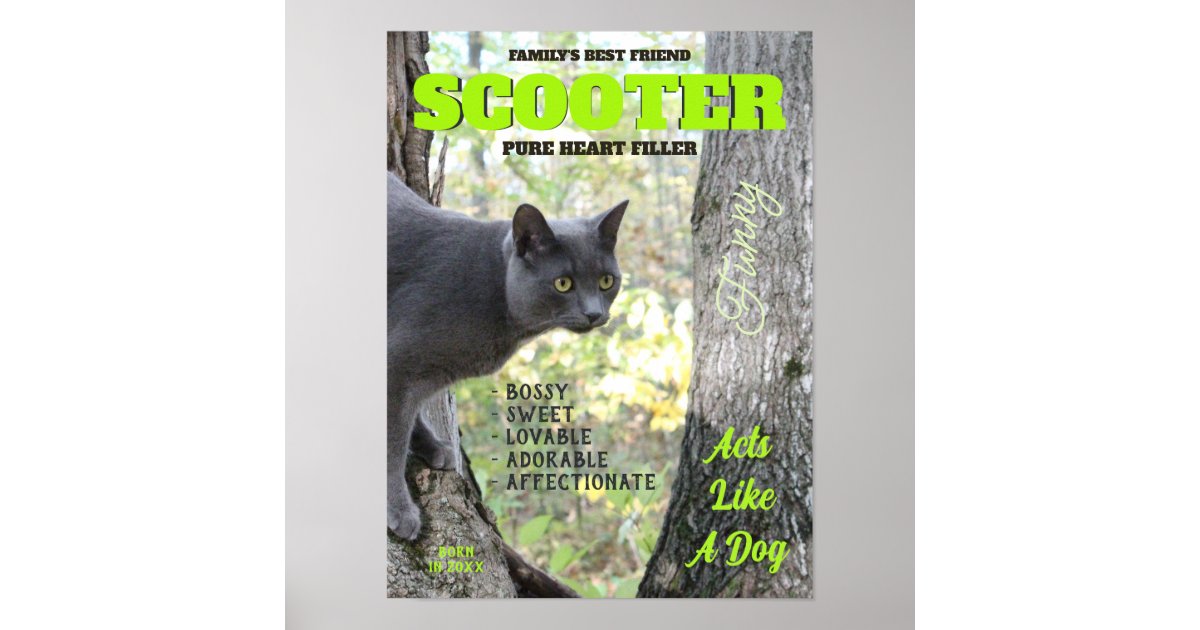 Make Your Kitty Cat Magazine Cover Poster | Zazzle
