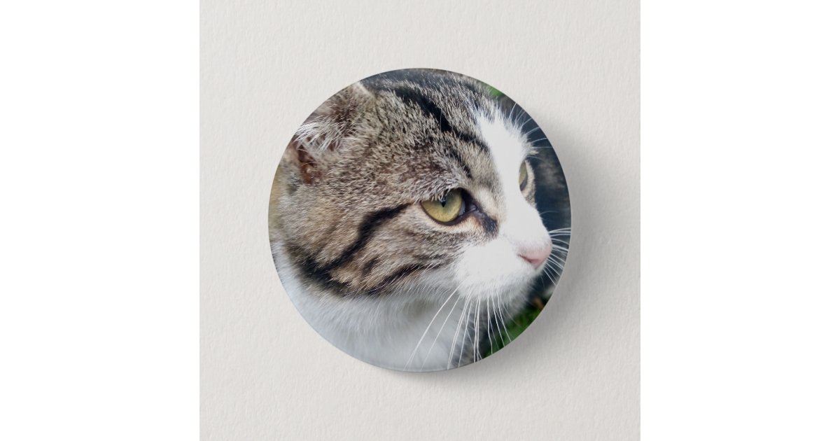 Make your own custom pet photo buttons | Zazzle