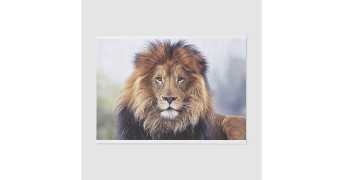 Male African Lion Tissue Paper | Zazzle