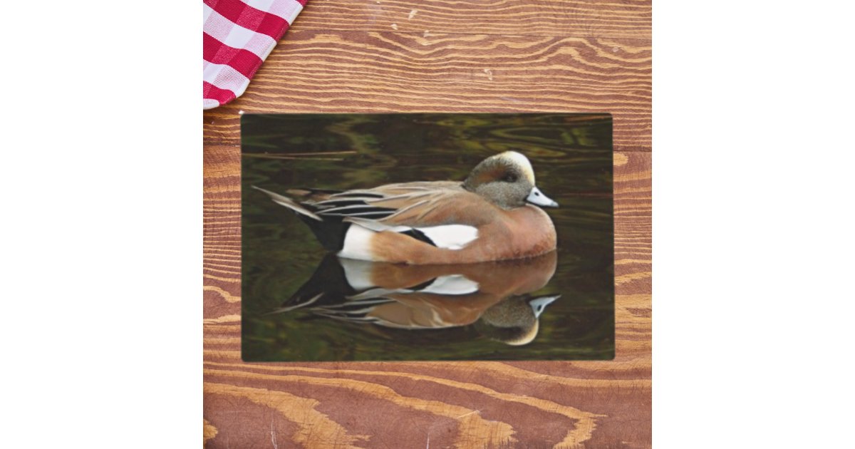 Male and Female American Wigeon Ducks Placemat | Zazzle