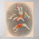 Male And Female Trapeze Performers Poster | Zazzle