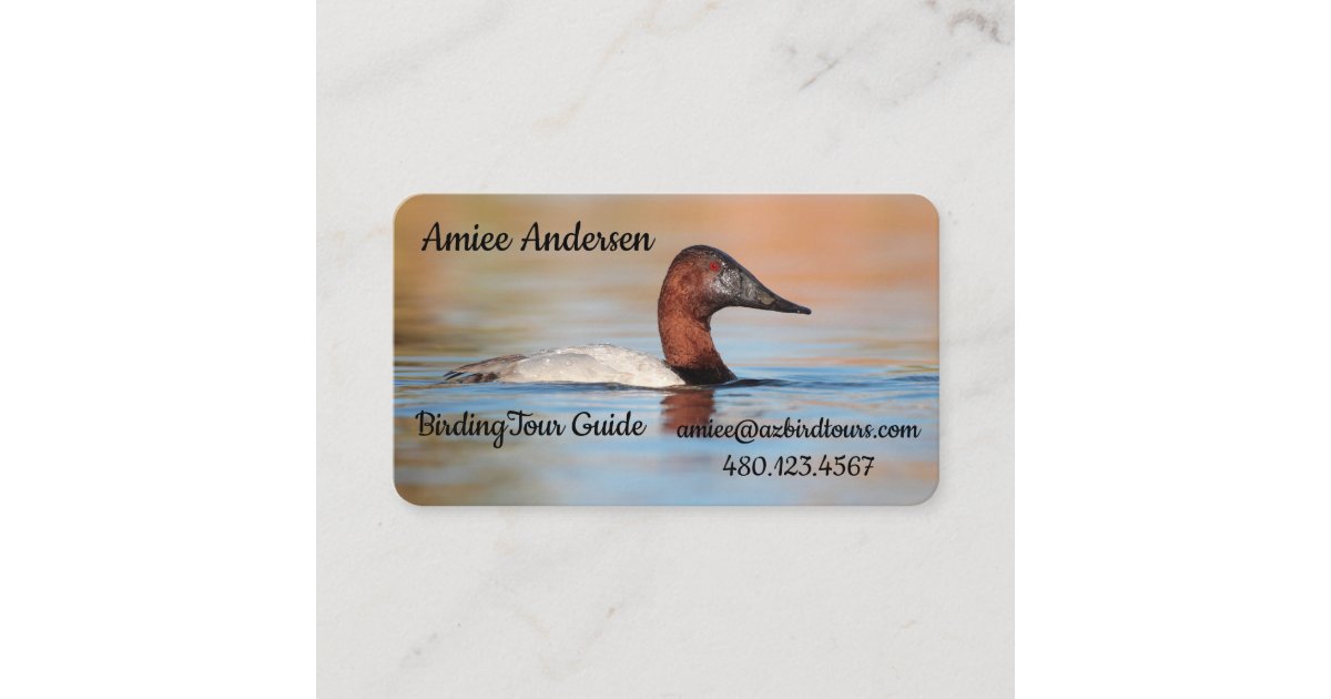 Male Canvasback Duck Business Card | Zazzle