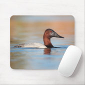Male canvasback duck mouse pad | Zazzle