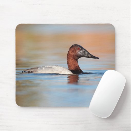 Male canvasback duck mouse pad | Zazzle