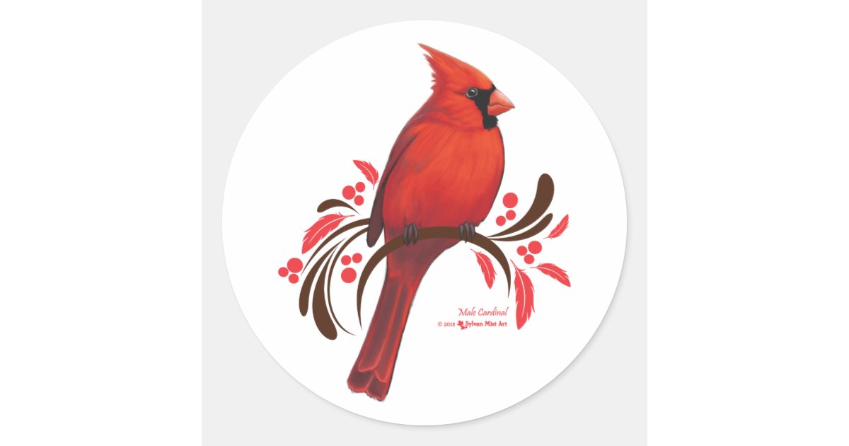 Male Cardinal Classic Round Sticker | Zazzle