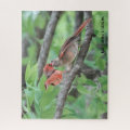 Male Cardinal & Fledgling, bird lover's Jigsaw Puzzle | Zazzle