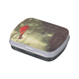 Male Cardinal Jelly Belly Tin | Zazzle