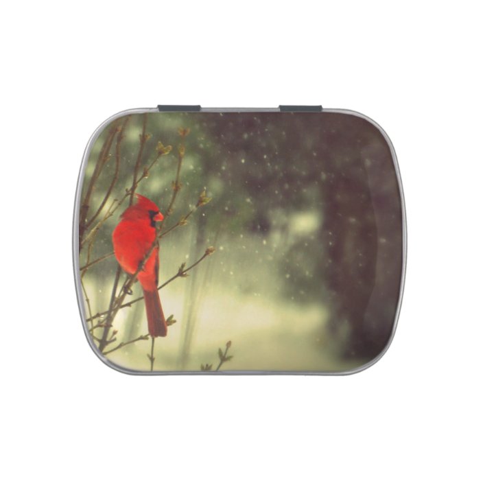 Male Cardinal Jelly Belly Tin | Zazzle.com