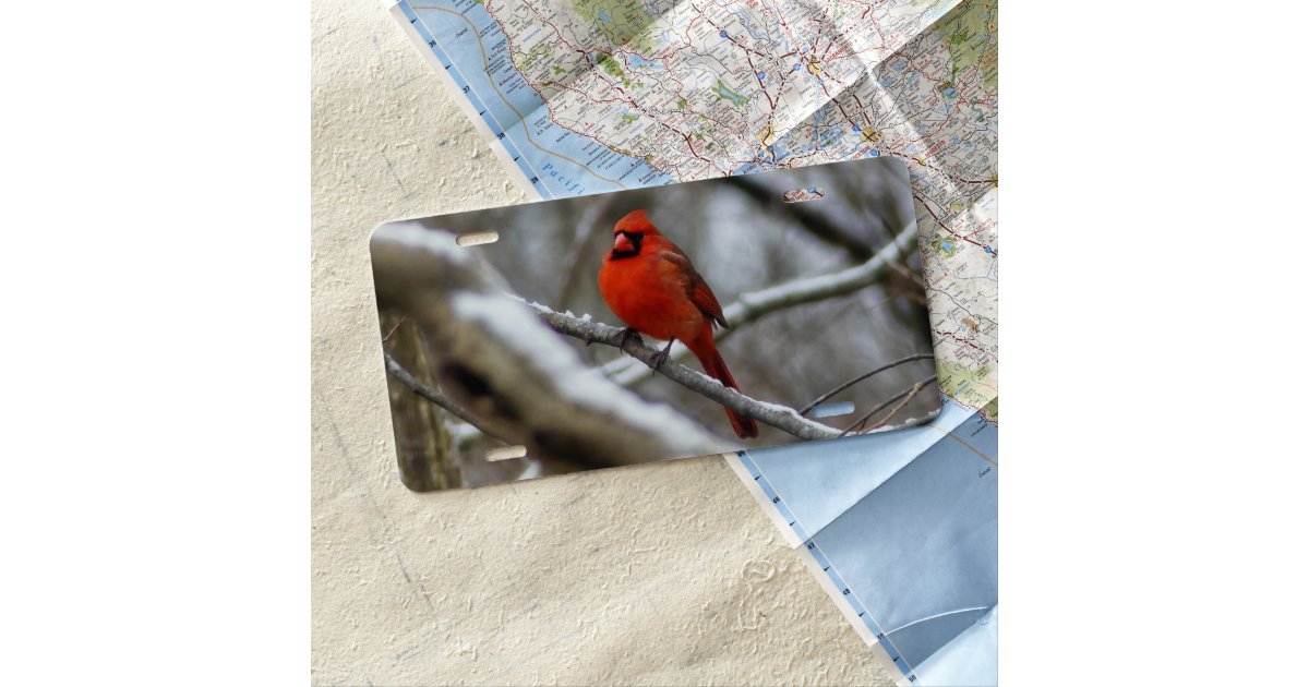 Male Cardinal License Plate | Zazzle