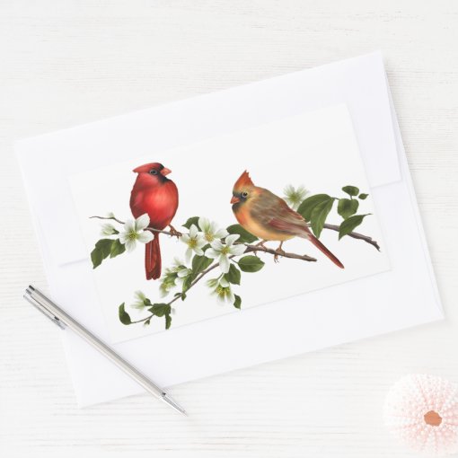 Male Female Cardinals Dogwood Blossoms Branch Rectangular Sticker | Zazzle