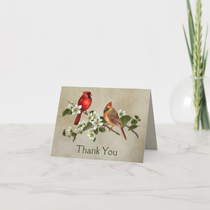 Male Female Cardinals Dogwoods Thank You Note Card | Zazzle
