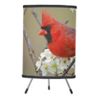 A Red Cardinal Bird on a Branch in the Woods Lamp Shade | Zazzle.com
