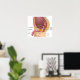 Male reproductive system Poster | Zazzle