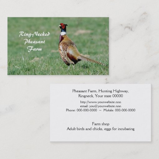 Male ring necked pheasant business card | Zazzle