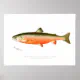 Male Sunapee Trout Poster | Zazzle