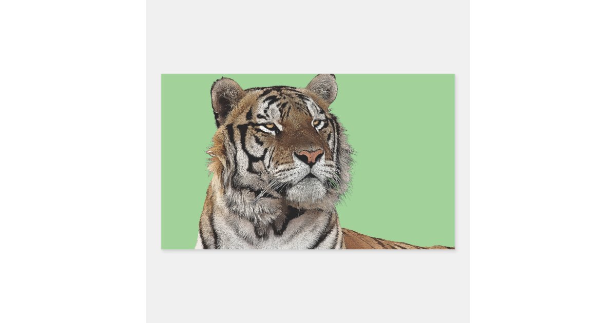 male tiger head animal wildlife nature art rectangular sticker | Zazzle