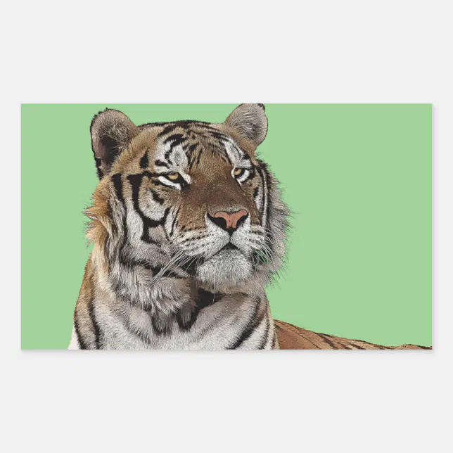 male tiger head animal wildlife nature art rectangular sticker | Zazzle