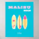 Malibu, Malibu Beach, Tropical, Preppy, Preppy Art Poster | Zazzle
