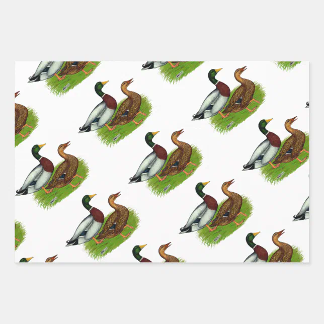 Mallard Drake and Duck Wrapping Paper Sheets | Zazzle