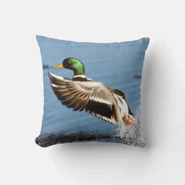Mallard Drake Duck Throw Pillow | Zazzle