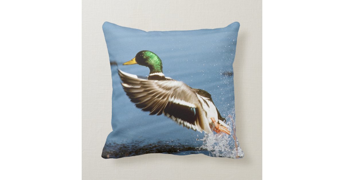 Mallard Drake Duck Throw Pillow | Zazzle.com