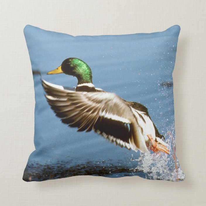 Mallard Drake Duck Throw Pillow | Zazzle.com