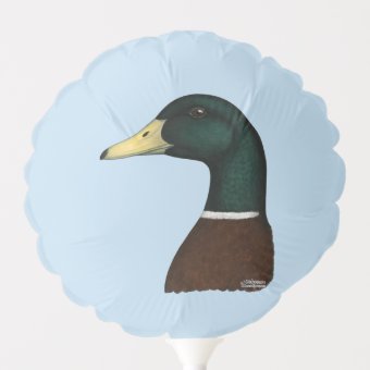 Mallard Drake Head Balloon | Zazzle