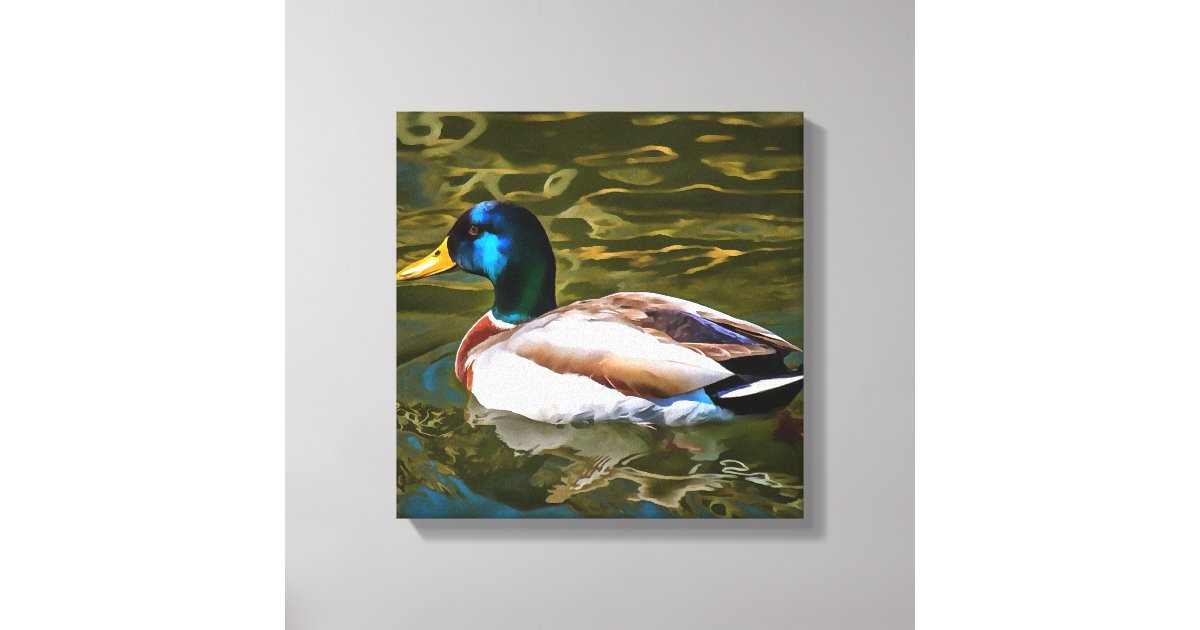 Mallard Duck Artistic Portrait Canvas Print | Zazzle