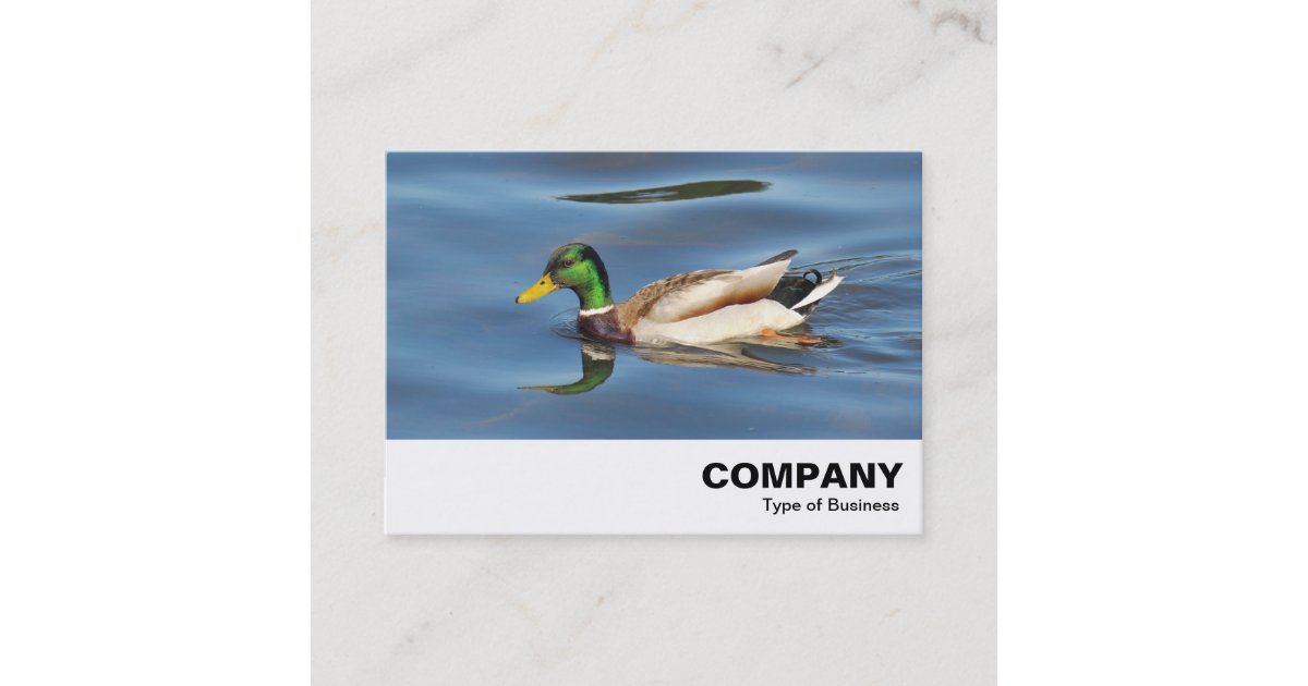 Mallard Duck Business Card | Zazzle