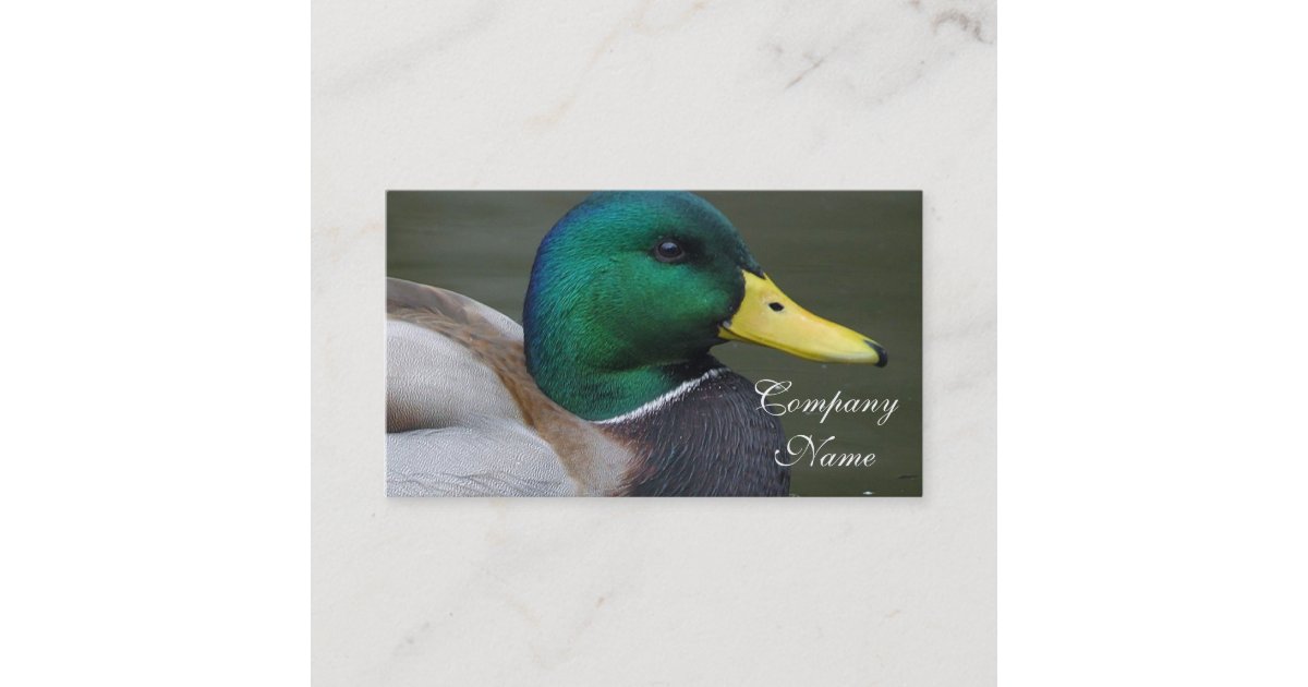 Mallard Duck Business Card | Zazzle