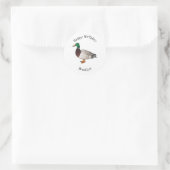 Mallard duck cartoon illustration classic round sticker | Zazzle