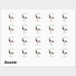 Mallard duck cartoon illustration classic round sticker | Zazzle